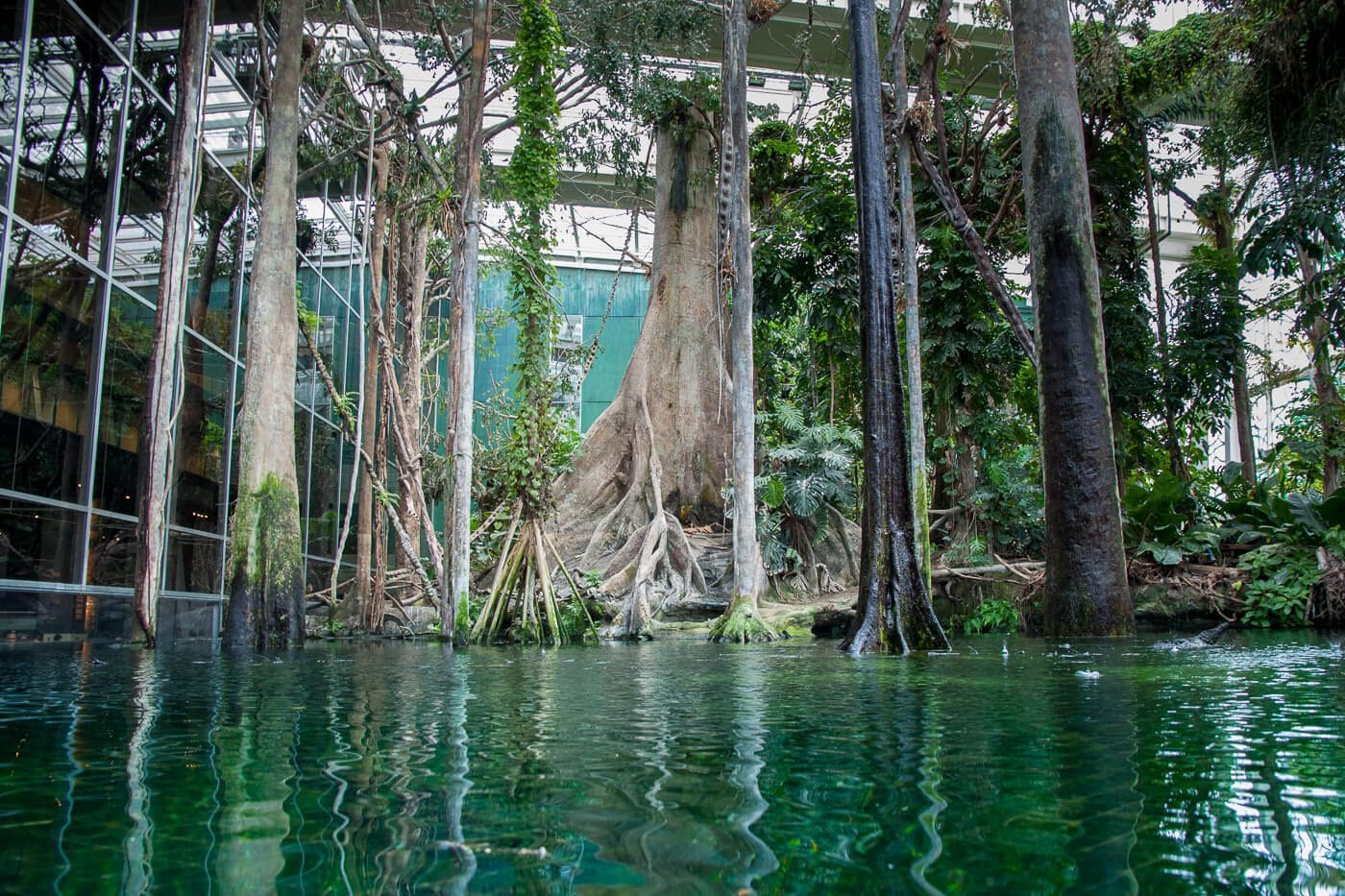Cosmocaixa Science Museum Barcelona - Barcelona City and Travel Guide